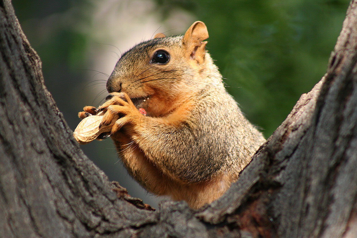 こんな所にこんなお店が | Rananda 女性専用アロママッサージ - Rananda 女性専用アロママッサージ