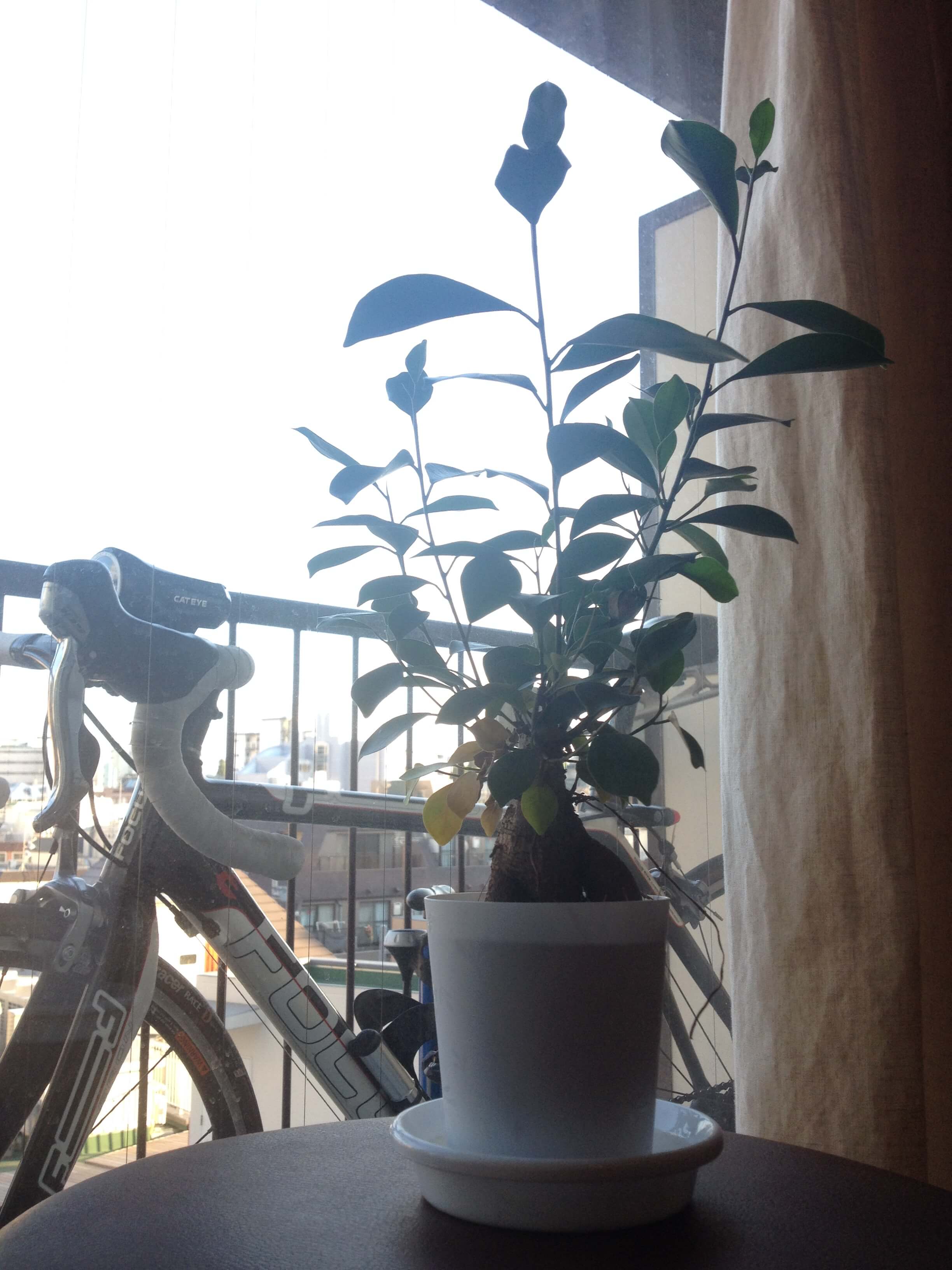 貴女はもっと元気になれる | Rananda 女性専用アロママッサージ - Rananda 女性専用アロママッサージ