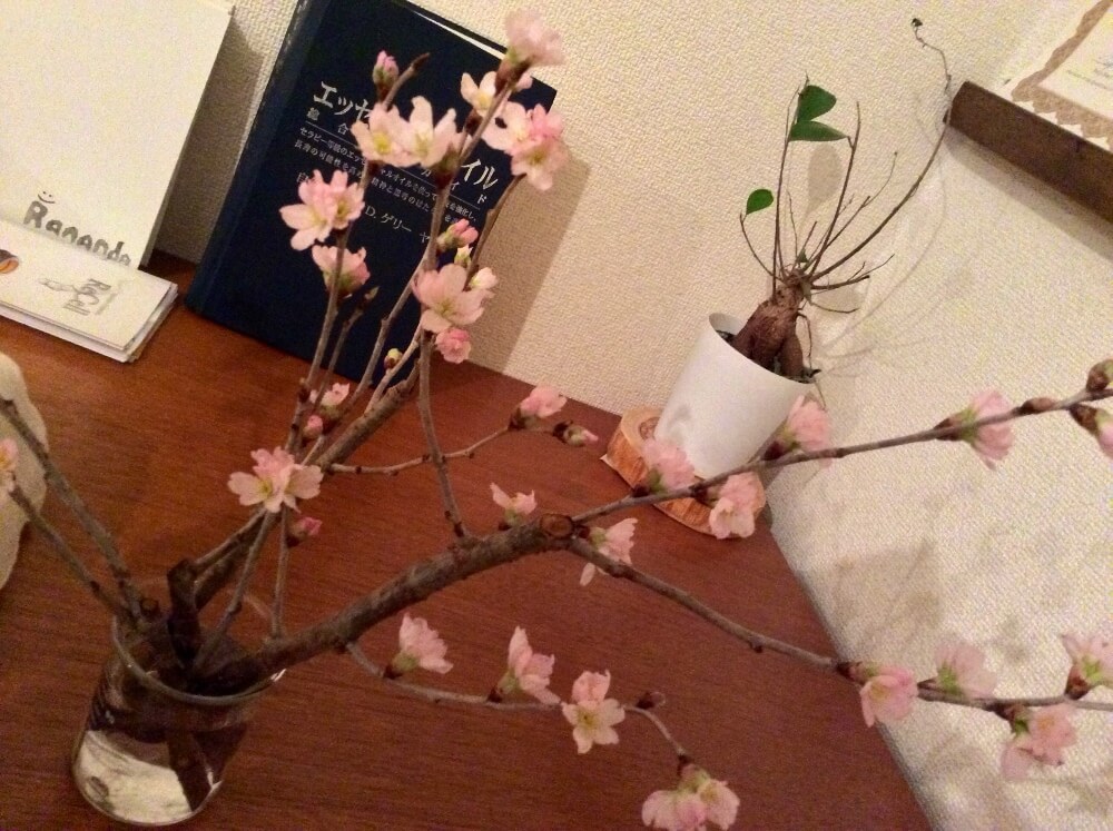 解釈と現実 | Rananda 女性専用アロママッサージ - Rananda 女性専用アロママッサージ