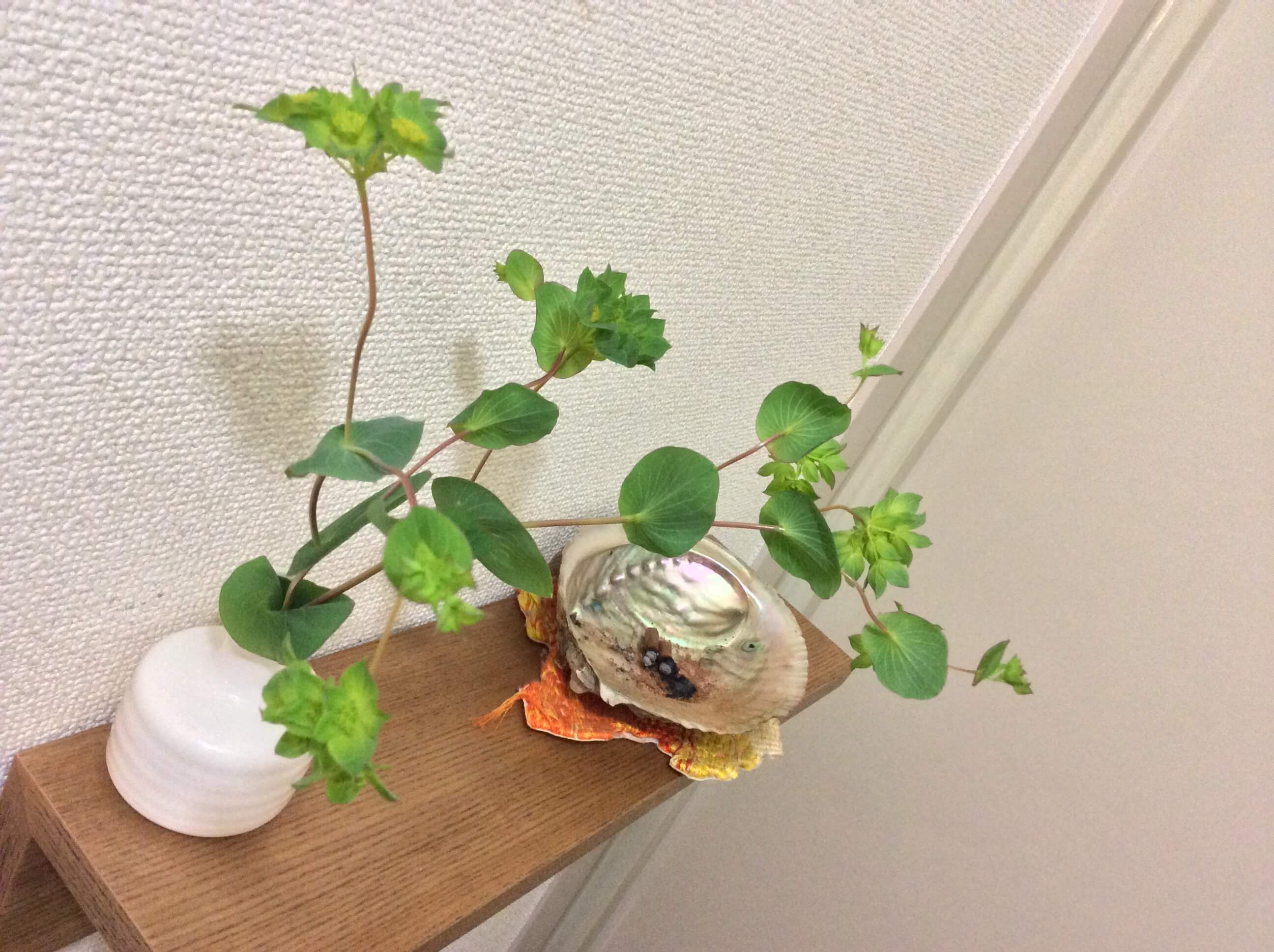 爽やかな緑の初めてのキス | Rananda 女性専用アロママッサージ - Rananda 女性専用アロママッサージ