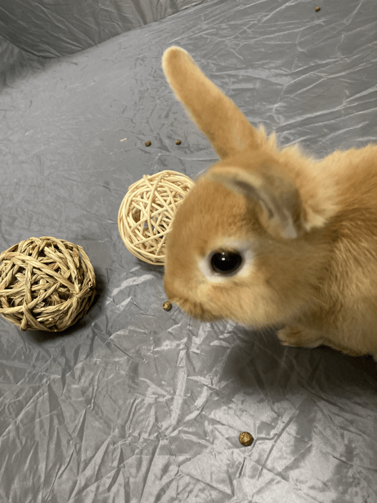 新しい世代の新しい価値観 | Rananda 女性専用アロママッサージ - Rananda 女性専用アロママッサージ